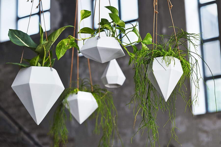 Notre shopping pour des plantes suspendues - Femme Actuelle