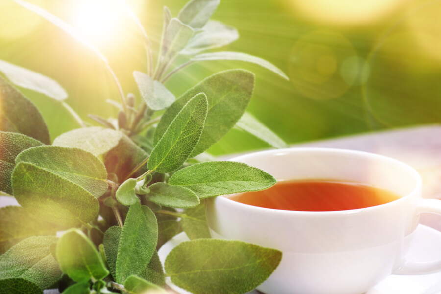 Quelles tisanes de plantes médicinales selon votre signe astrologiques ...