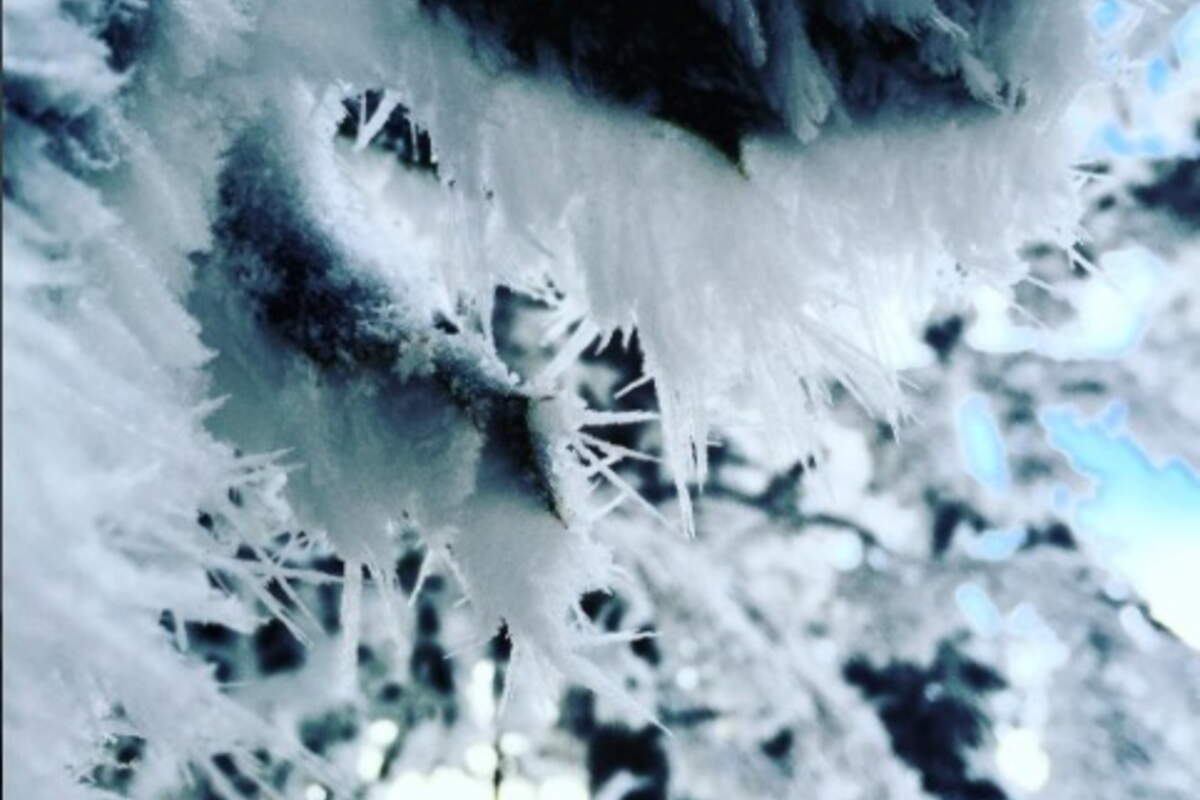 Glace, neige, gel... Découvrez les incroyables photos de l'Europe qui ...