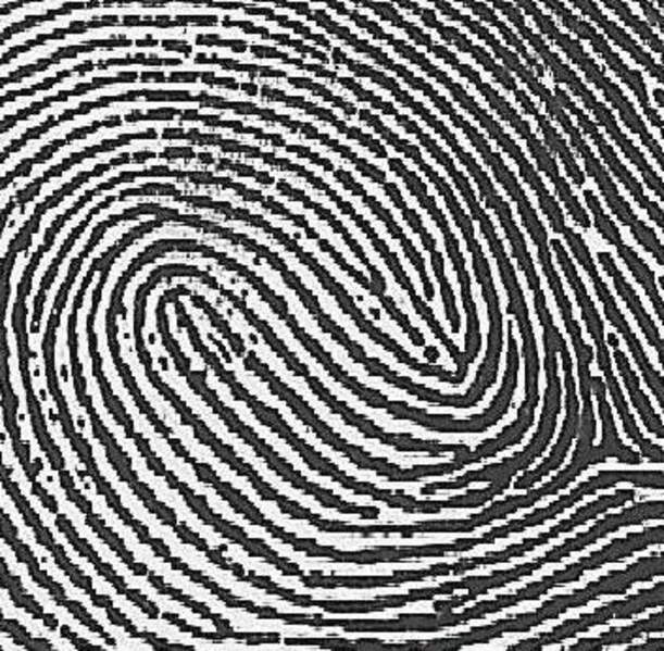 Les 5 empreintes digitales basiques - Femme Actuelle