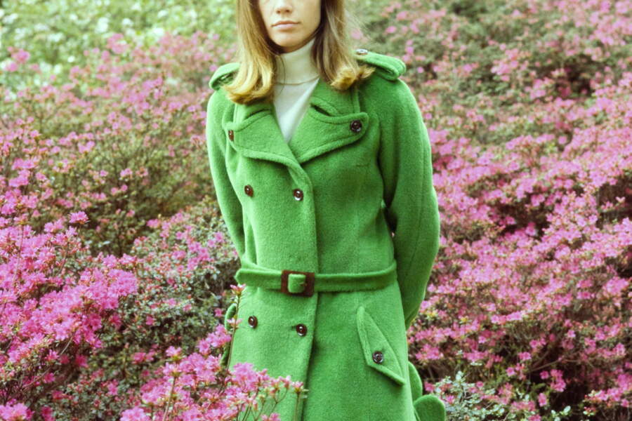 Françoise Hardy : son évolution au fil des ans en images - Femme Actuelle