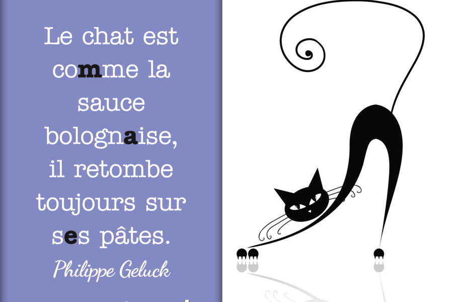 Citations sur les chats à partager - Femme Actuelle