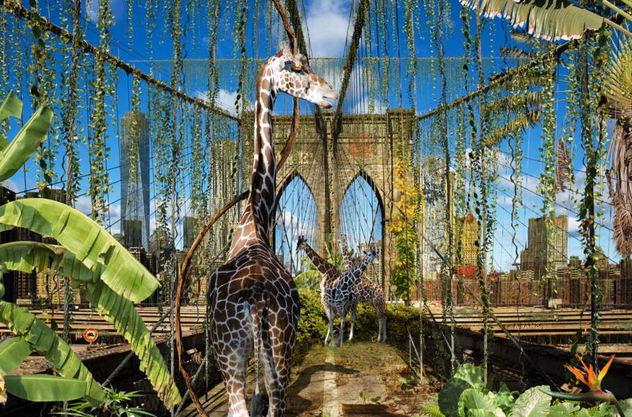 C'est la jungle à Paris ! - Femme Actuelle