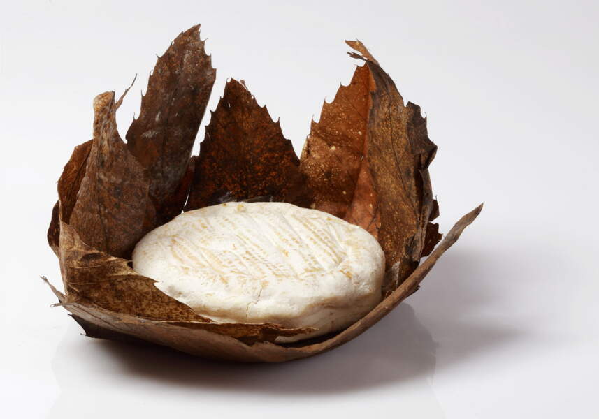 Fromage de chèvre : comment les reconnaître ? - Femme Actuelle