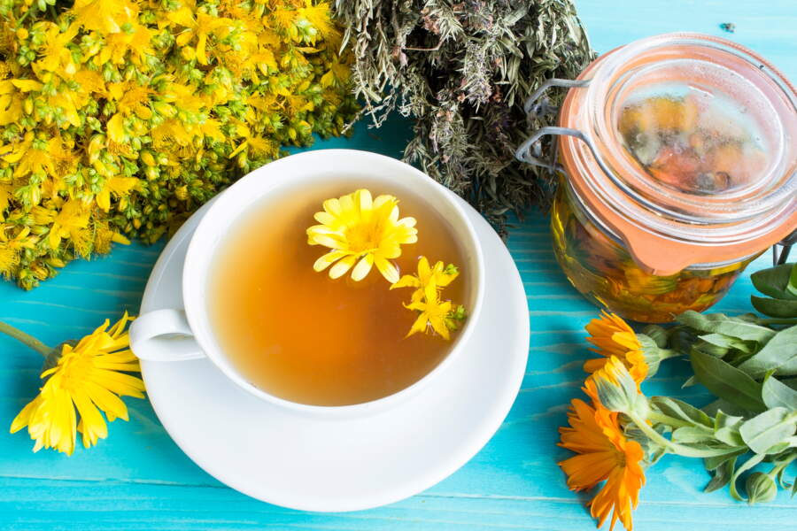 Quelles tisanes de plantes médicinales selon votre signe astrologiques ...