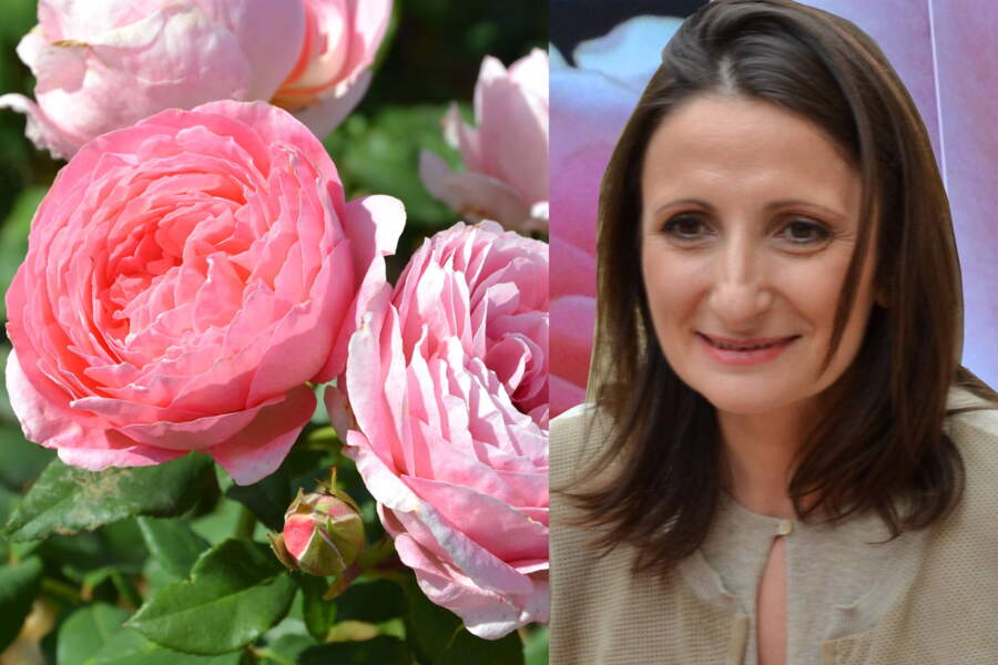 Rosiers : les roses des people en images - Femme Actuelle