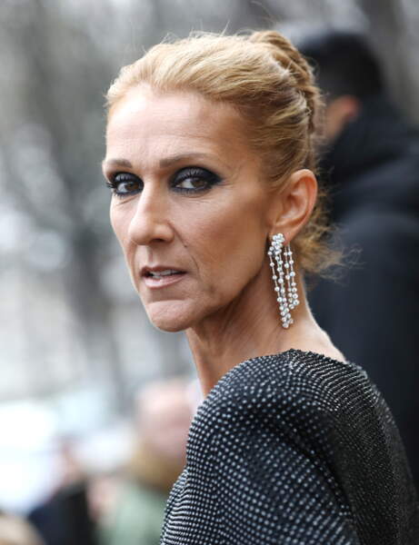 Céline Dion Ses Plus Belles Coiffures En Images Femme Actuelle