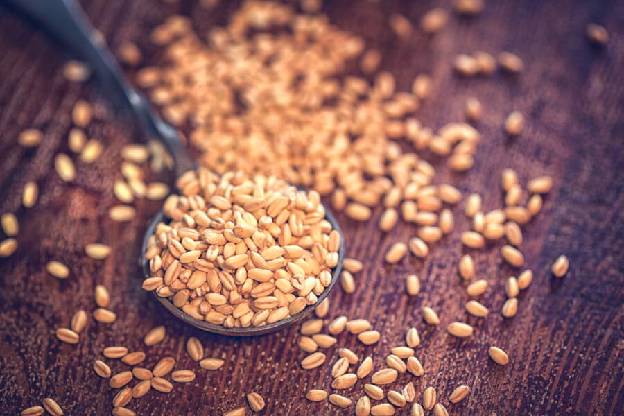 Les féculents les plus caloriques - Femme Actuelle