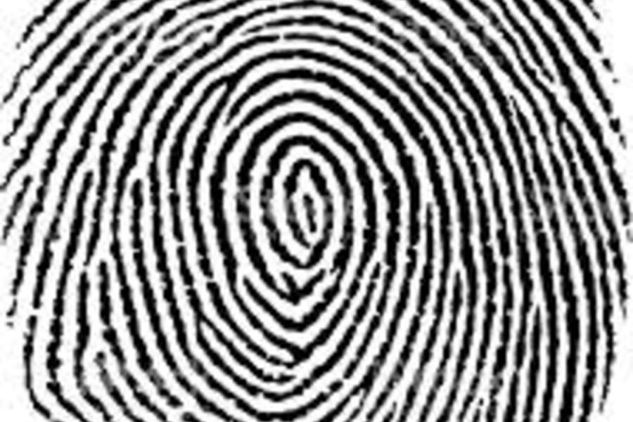 Les 5 empreintes digitales basiques - Femme Actuelle