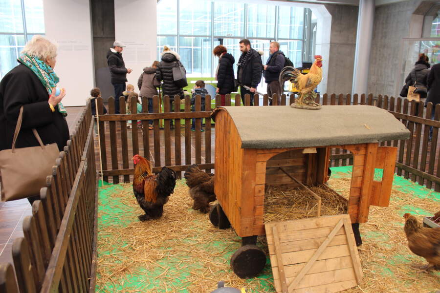 Pâques 2019 : les plus belles chasses aux oeufs - Femme Actuelle