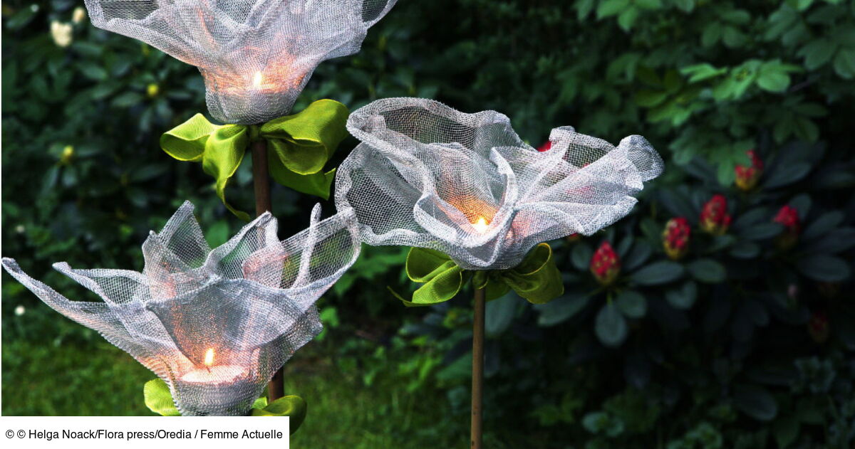 Photophores en fleurs : Femme Actuelle Le MAG