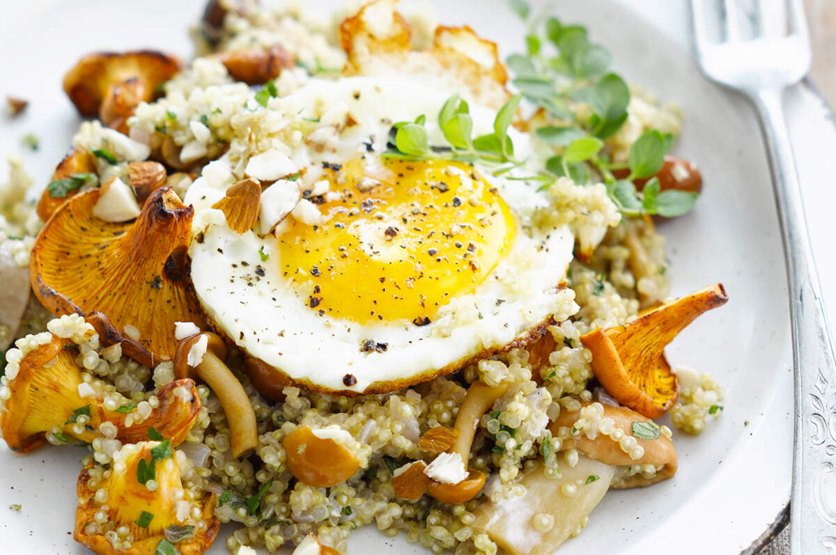 Toutes nos idées de recettes avec des champignons - Femme Actuelle