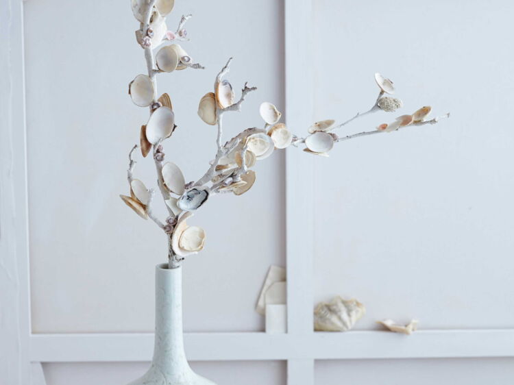 8 idées déco à faire avec des coquillages : Femme Actuelle Le MAG