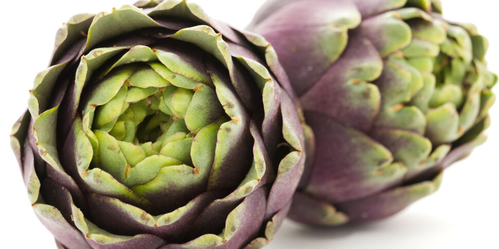 Comment booster sa flore intestinale ? : Femme Actuelle Le MAG