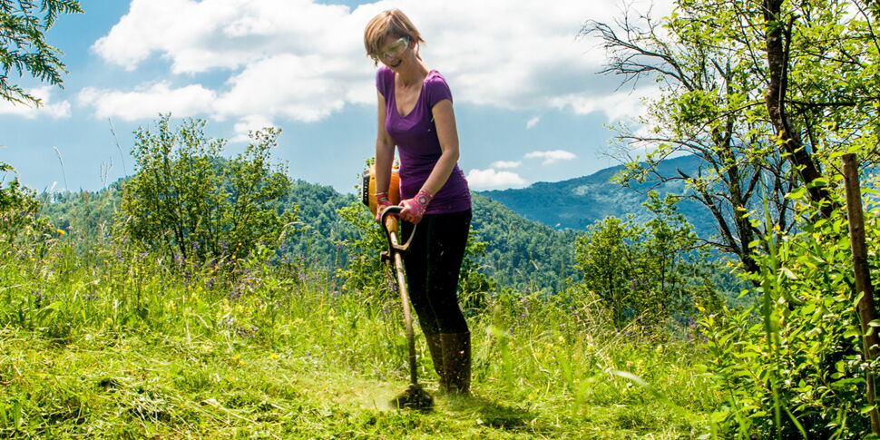 Débroussailler, une obligation ? : Femme Actuelle Le MAG