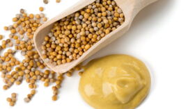 8 vertus santé insoupçonnées de la moutarde : Femme Actuelle Le MAG