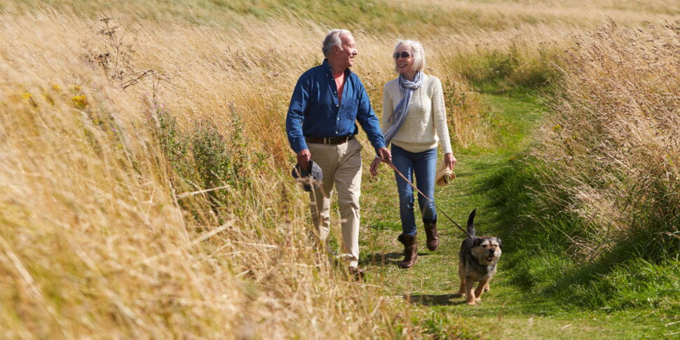 40 ans de mariage : 4 idées originales et romantiques pour célébrer vos ...