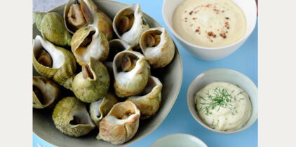 Comment réussir la cuisson des bulots ? : Femme Actuelle Le MAG