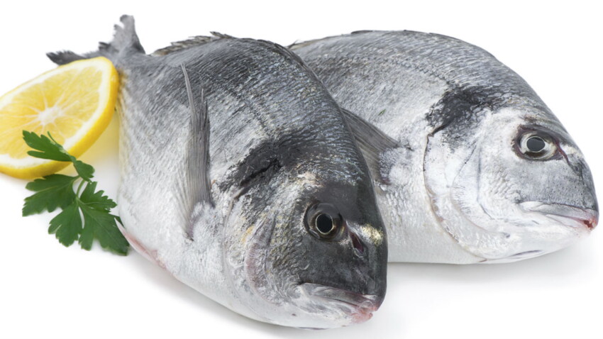 Tout savoir sur la dorade : Femme Actuelle Le MAG