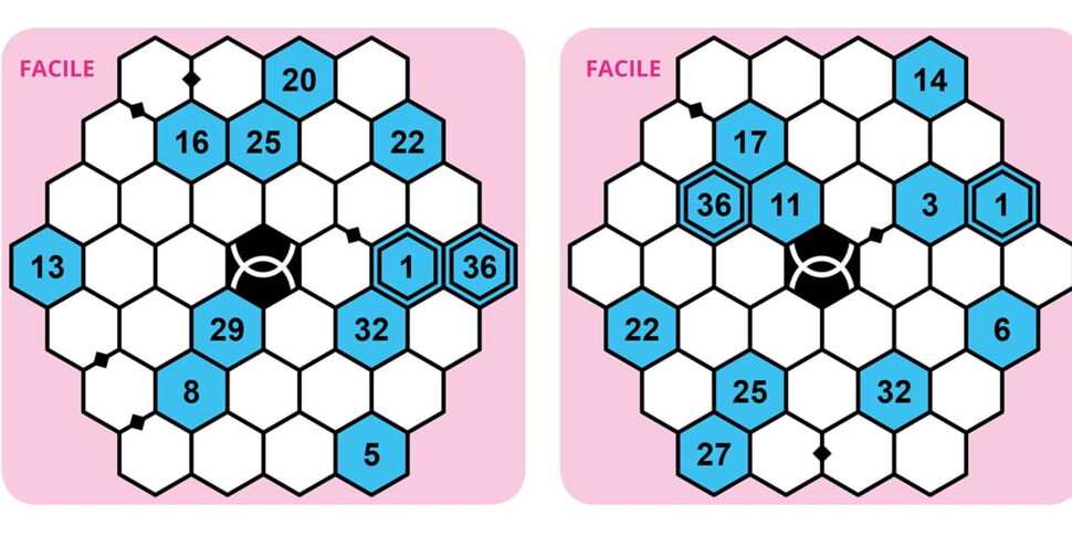 Connaissez-vous le Rikudo, le nouveau jeu tendance ? : Femme Actuelle ...