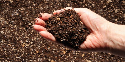 Comment fabriquer son engrais naturel ? : Femme Actuelle Le MAG