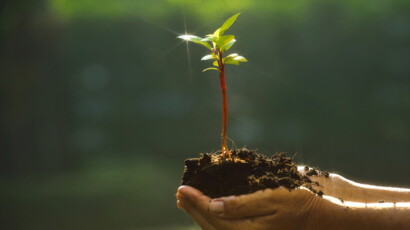 Comment faire son terreau ? : Femme Actuelle Le MAG