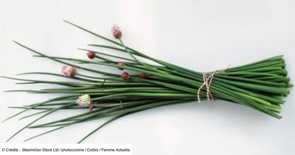 Ciboulette : Femme Actuelle Le MAG