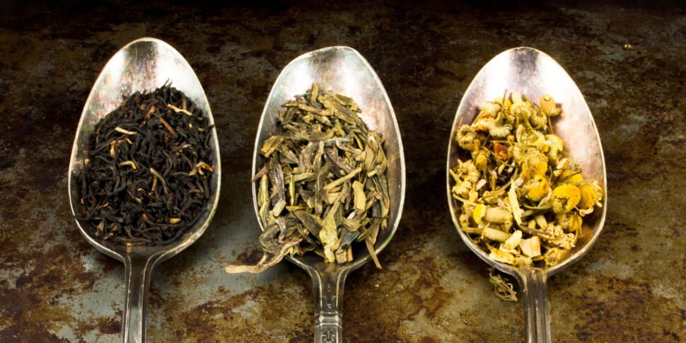 Thé vert : comment bien le choisir ? : Femme Actuelle Le MAG