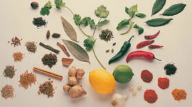 Le haricot rouge, un super allié satiété : Femme Actuelle Le MAG