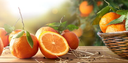 Il faut manger 21 oranges pour retrouver les nutriments d'une orange de ...