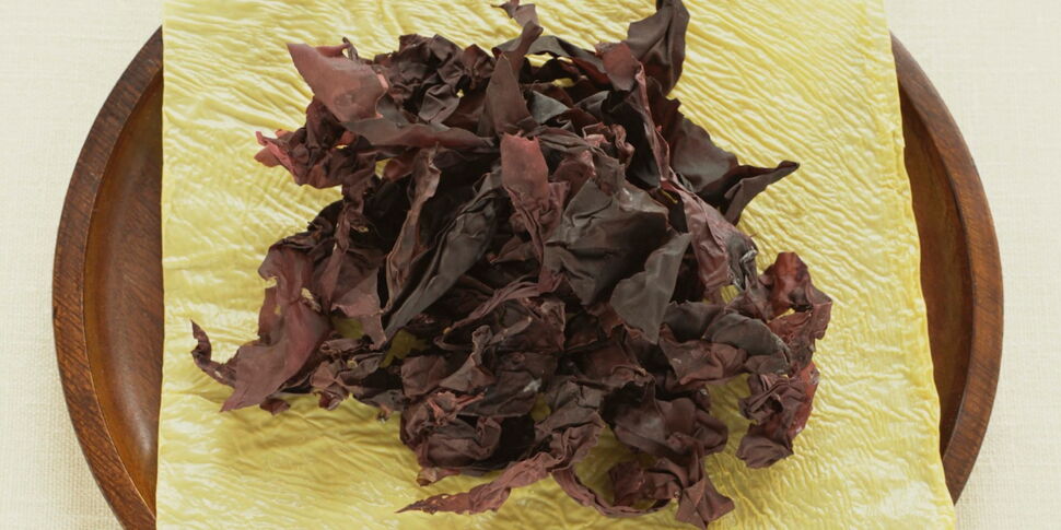 Une algue rouge pour lutter contre les allergies alimentaires ? : Femme ...