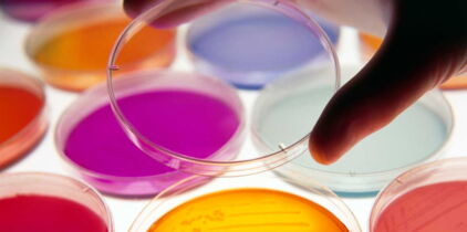 Ces microbes qui nous veulent du bien : Femme Actuelle Le MAG