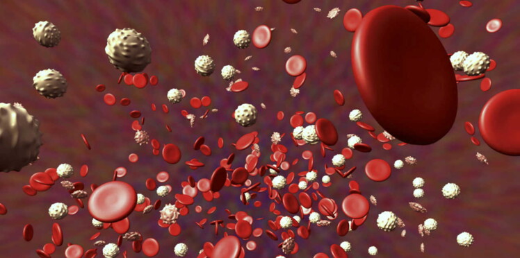 Polynucléaires neutrophiles : que signifie leur niveau ? : Femme ...