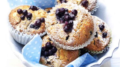 Muffins aux myrtilles sauvages rapide : découvrez les recettes de ...