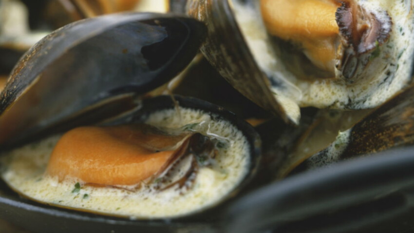 Mouclade rapide : découvrez les recettes de cuisine de Femme Actuelle ...