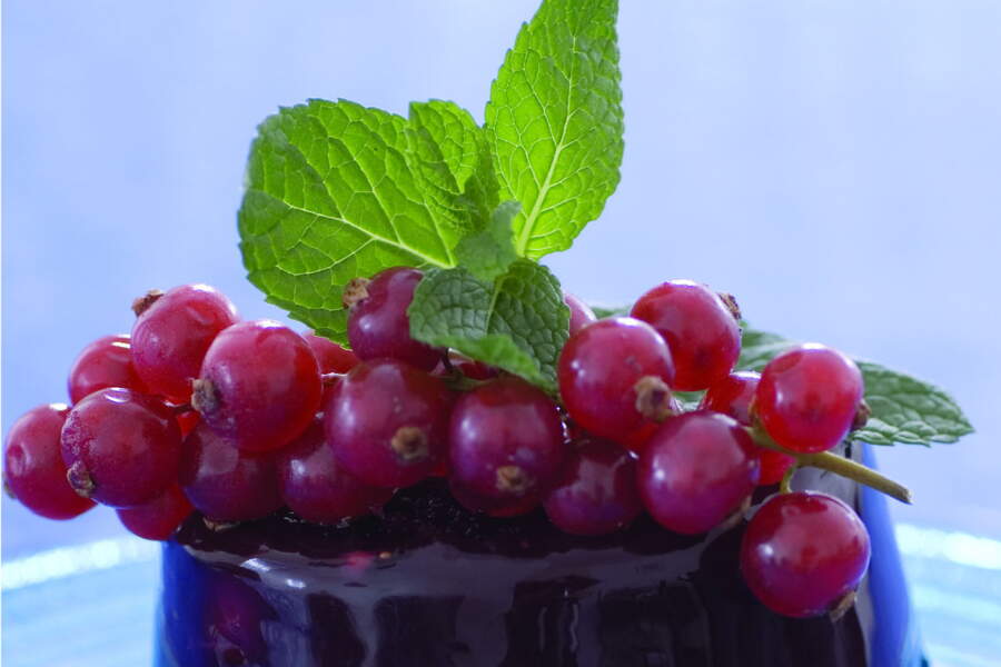 Cuisiner au vin rouge : tout ce qu'il faut savoir ! - Femme Actuelle