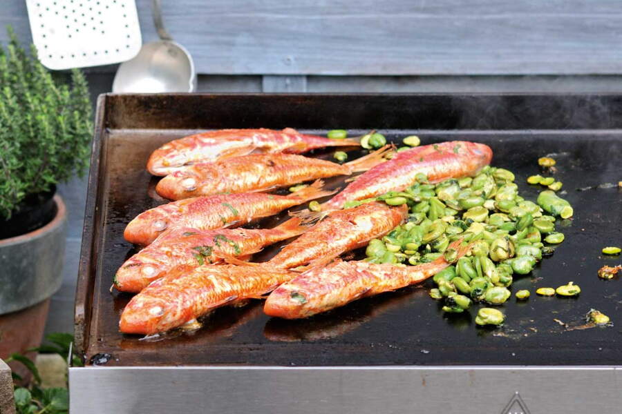 Recettes Plancha Originales – Idée Repas Pour Une Plancha – CQJX