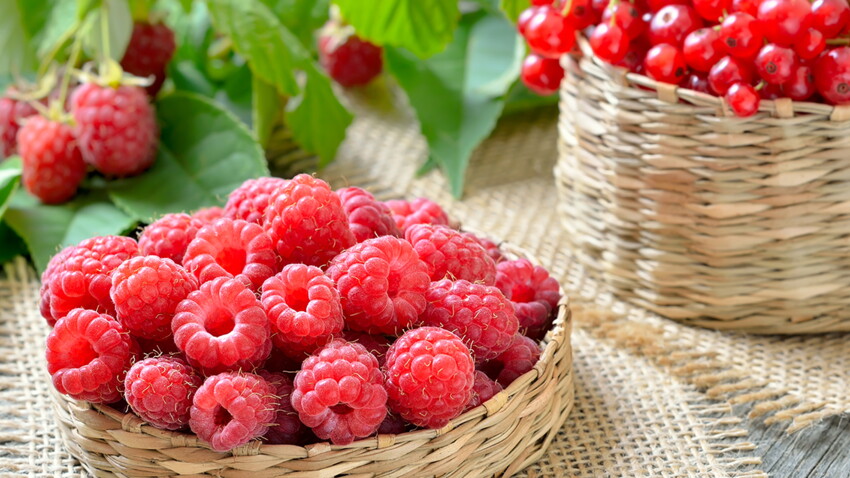 Coulis de fruits rouges rapide : découvrez les recettes de cuisine de ...