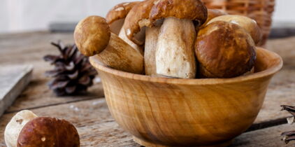 Cèpes : nos recettes et conseils pour bien les préparer : Femme ...