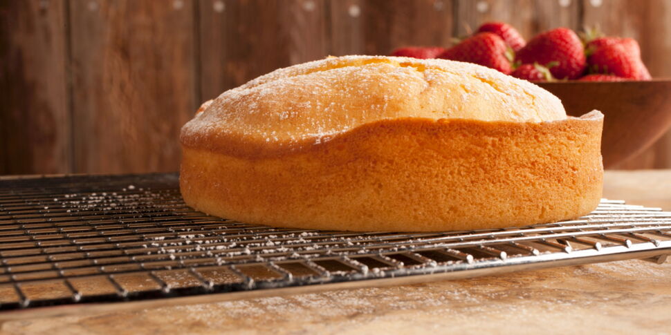 Génoise rapide : découvrez les recettes de cuisine de Femme Actuelle Le MAG