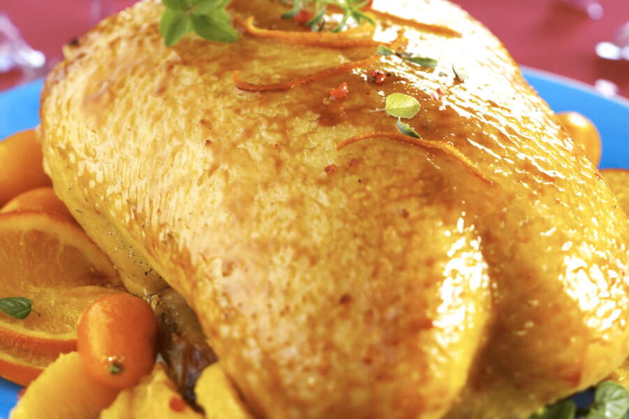 Nos meilleures recettes de canette - Femme Actuelle