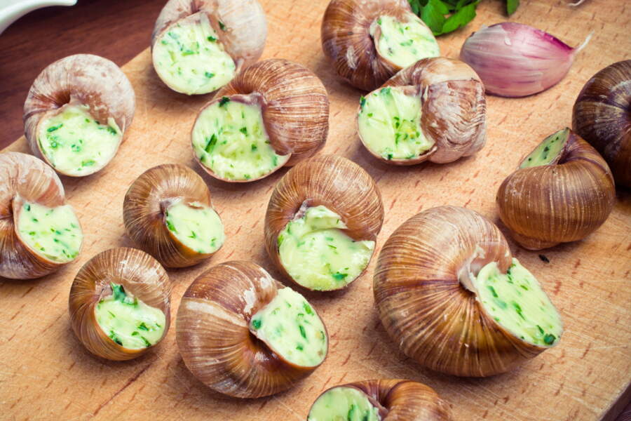 Escargots : nos meilleures recettes - Femme Actuelle