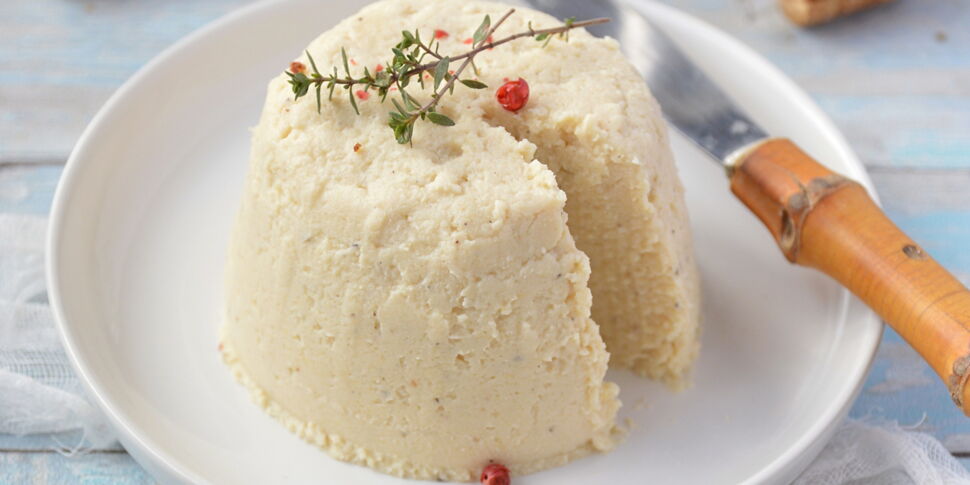 Fromage végétal facile et rapide : découvrez les recettes de cuisine de ...