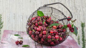 Tout savoir sur la cerise : Femme Actuelle Le MAG