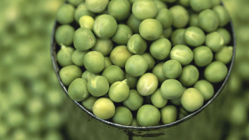 Que faire avec une boîte de petits pois : 10 recettes parfaites et vite ...