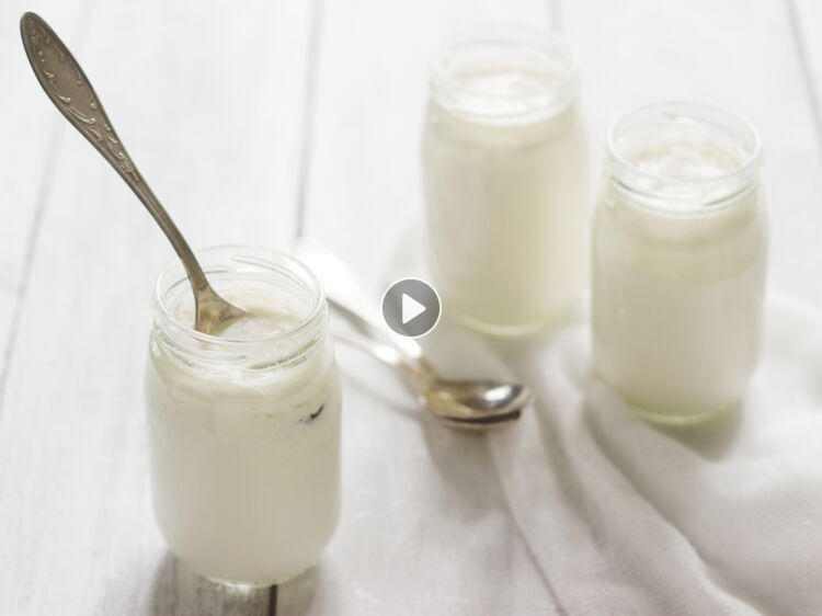 Comment faire ses yaourts maison ? : Femme Actuelle Le MAG