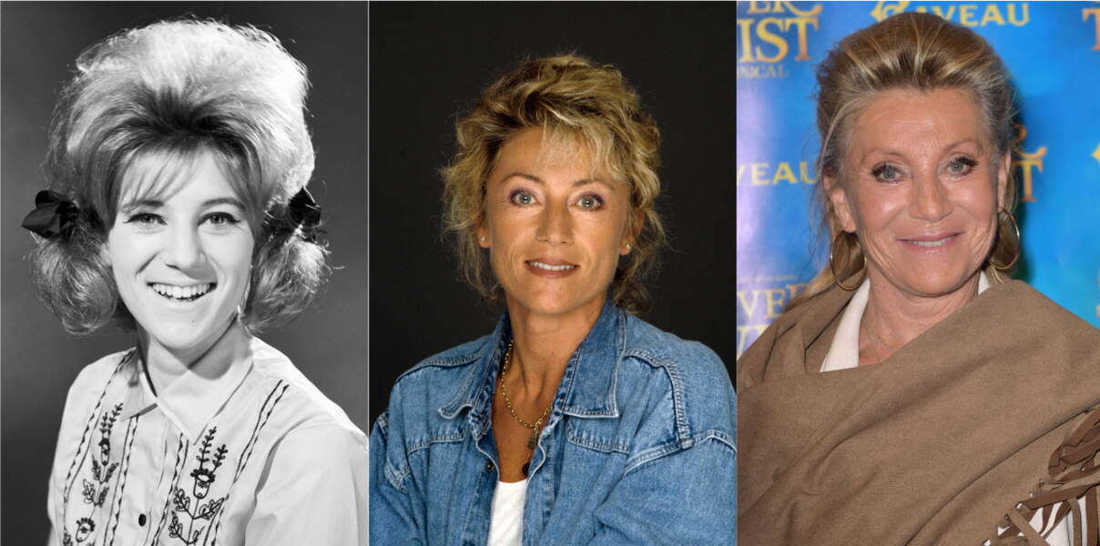 Sheila : son évolution physique en images - Femme Actuelle