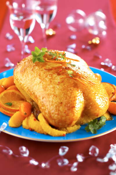 Nos meilleures recettes de canette - Femme Actuelle