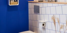 Tout pour la toilette de toutou - Brosse massante : Femme Actuelle Le MAG