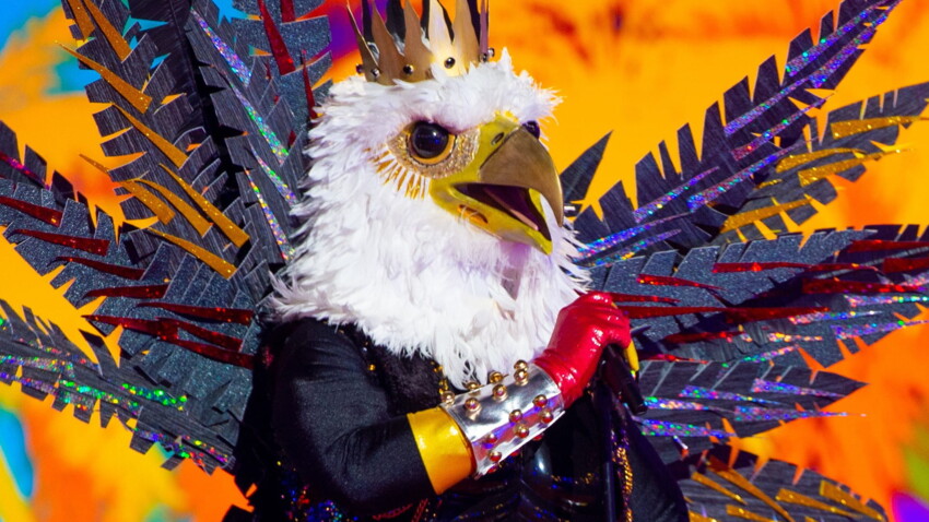 Vidéo - "Mask Singer" : violente chute de l'Aigle en pleine prestation ...